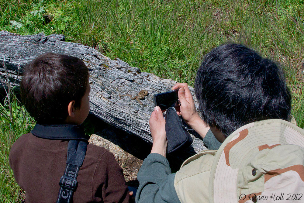 Herping in the Bay Area - Field Herp Forum