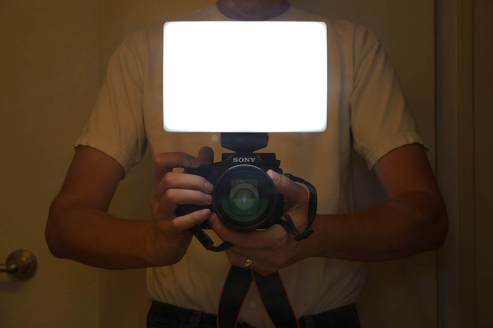 Graslon Prodigy flash diffuser - Field Herp Forum